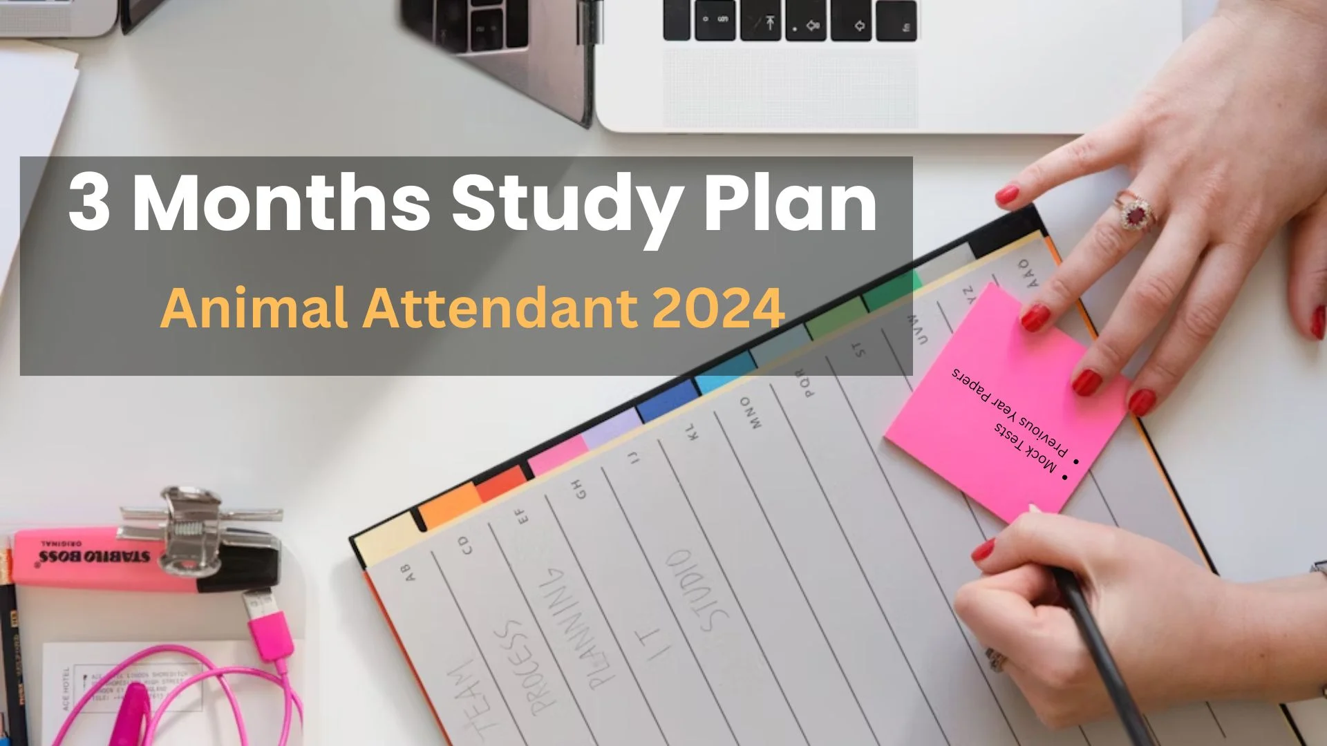Animal Attendant 3 Months Study Plan - Get 90 Days Plan Animal Attendant 3 Months Study Plan - Get 90 Days Plan